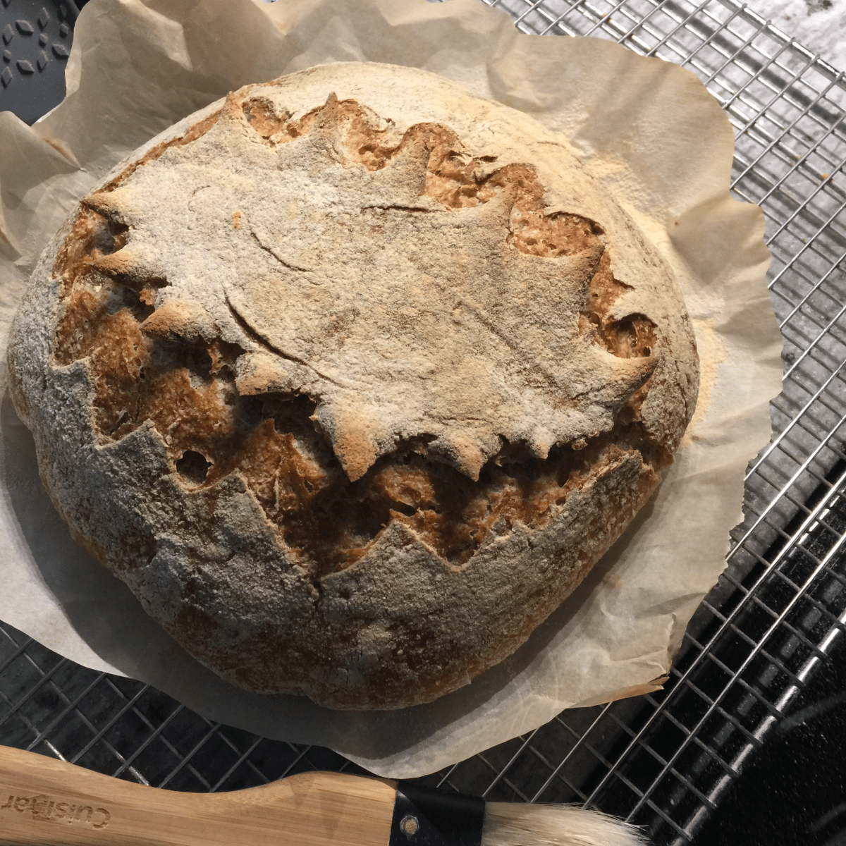 Saturday’s “Sunday Bake” and More Changes in Technique – Rust (truly ...